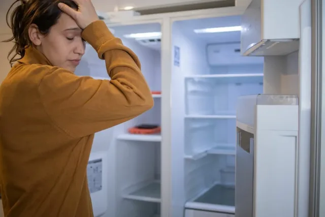 LG Refrigerator Compressor Replacement - Pinetown experts